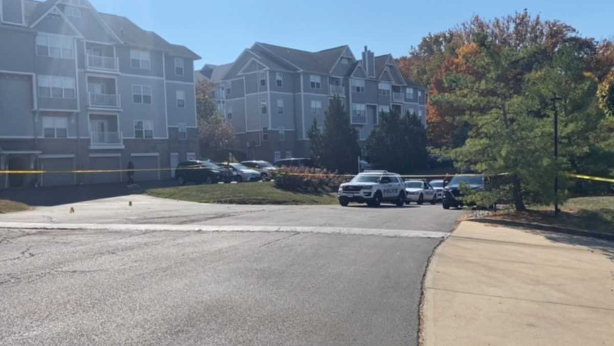 Police: Man shot, woman in custody after shooting at apartment complex ...