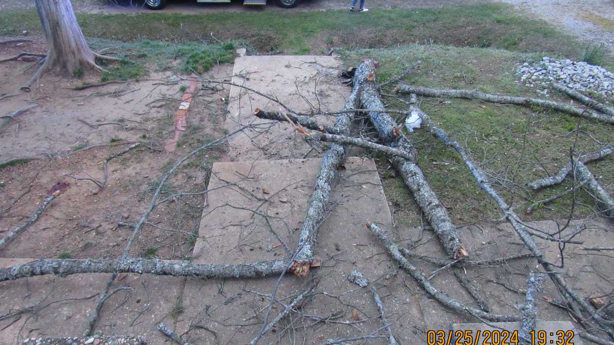 Centreville man killed by falling tree limb in his yard