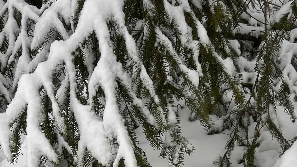 See Baltimore's first snow in 716 days in photos