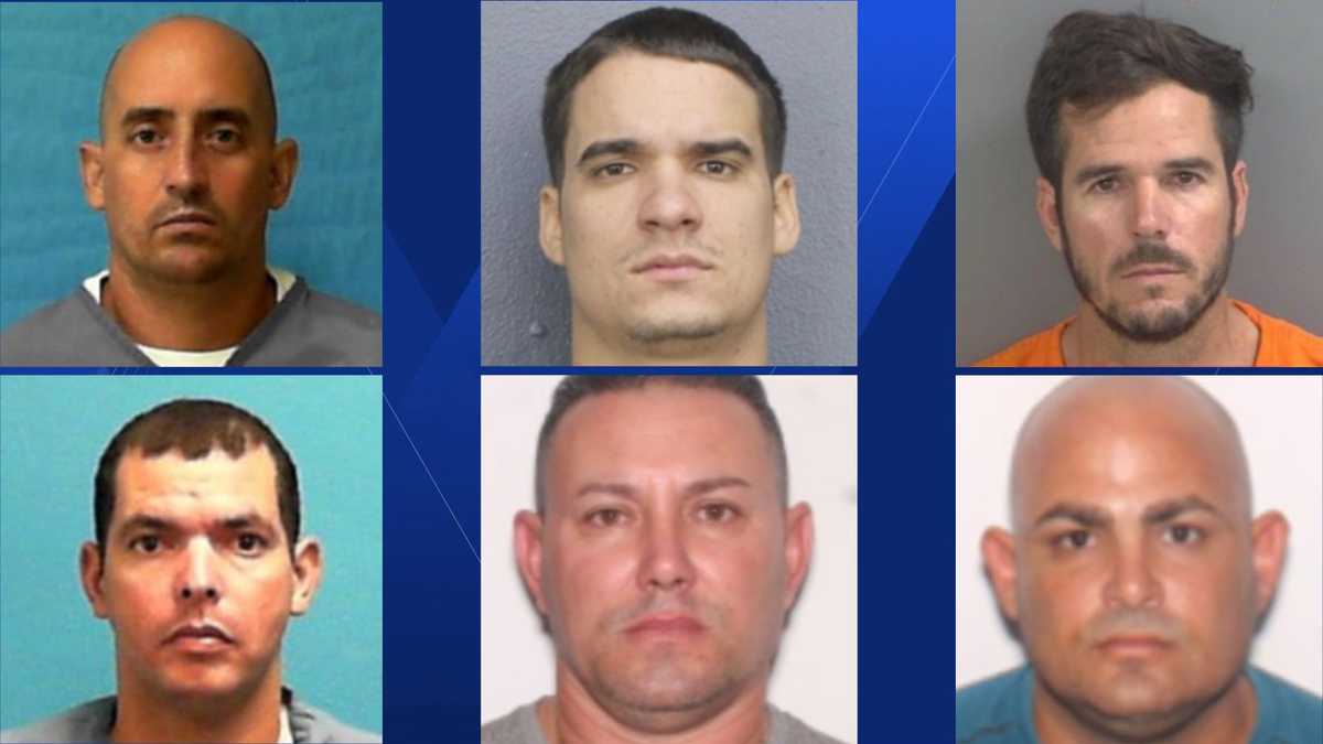 Multimillion-dollar organized theft ring uncovered by Charlotte and ...