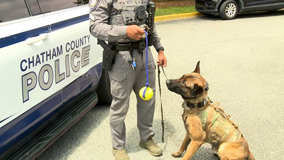 Savannah: Big honor for Chatham County police K9 team