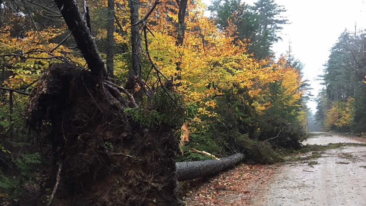 LePage requests federal disaster declaration for October windstorm