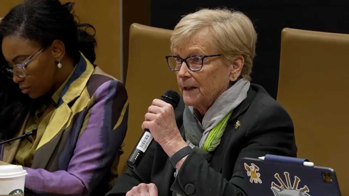 Rep. Pingree of Maine at Minnesota field hearing on immigration