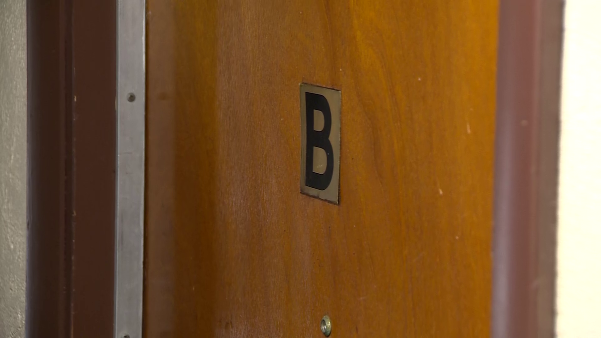 Boston man charged after decomposing body of dog found in apartment