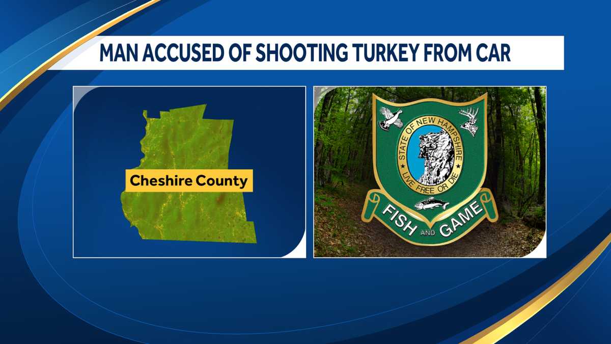 New Hampshire man accused of shooting turkey from car window