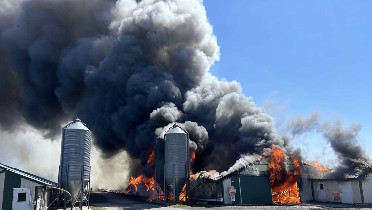 Heavy flames, smoke engulf massive chicken barn in Cumberland County, Pa.