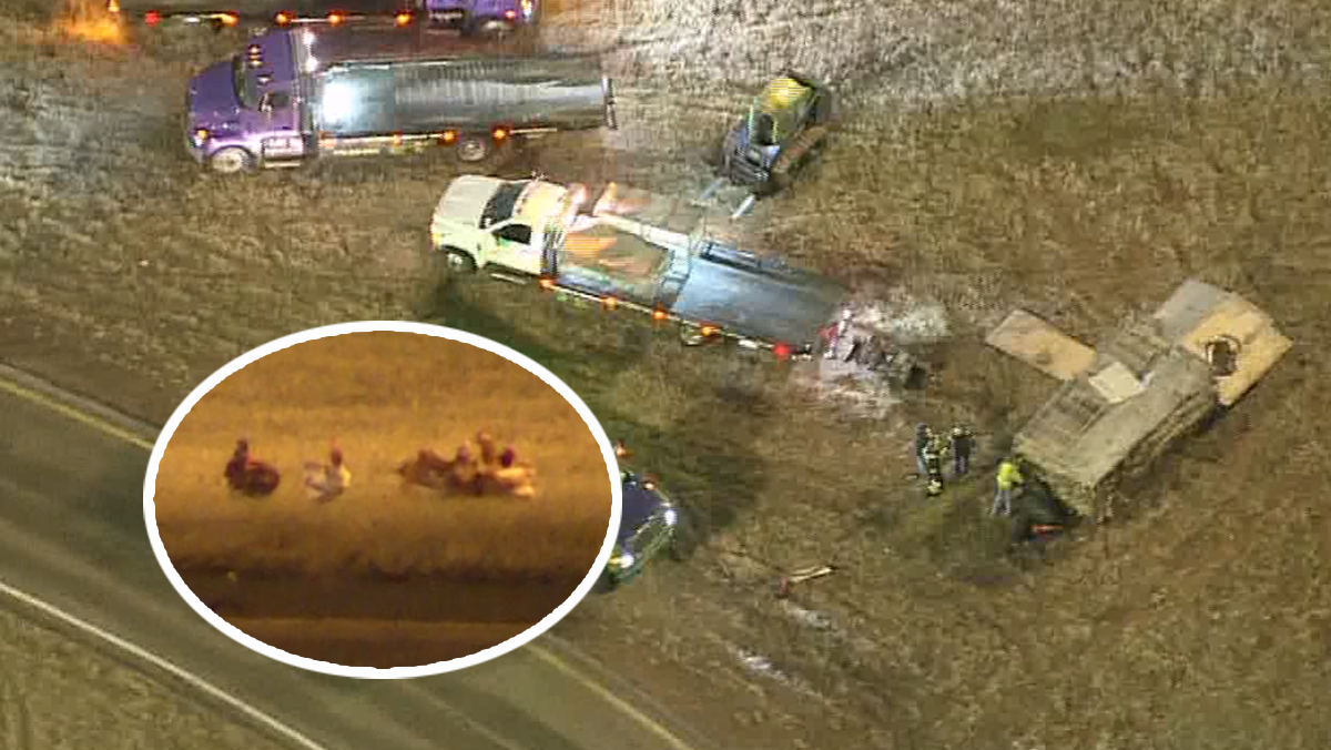 Oklahoma troopers shoot chickens after crash on I-240 ramp