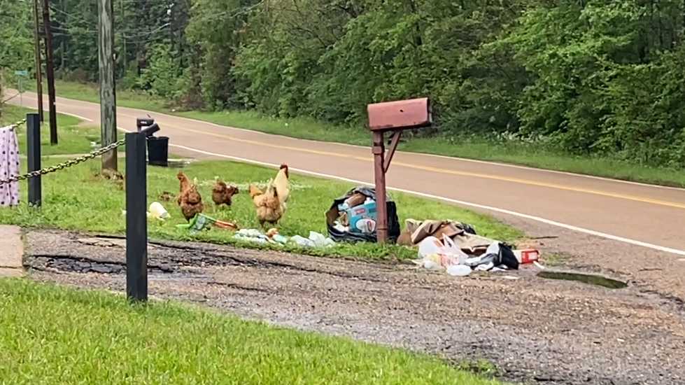 Piles of trash grow as concern rises about Jackson’s garbage situation