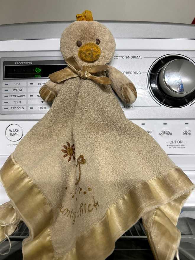 Bama students dumpster dive, find student's lost security blanket