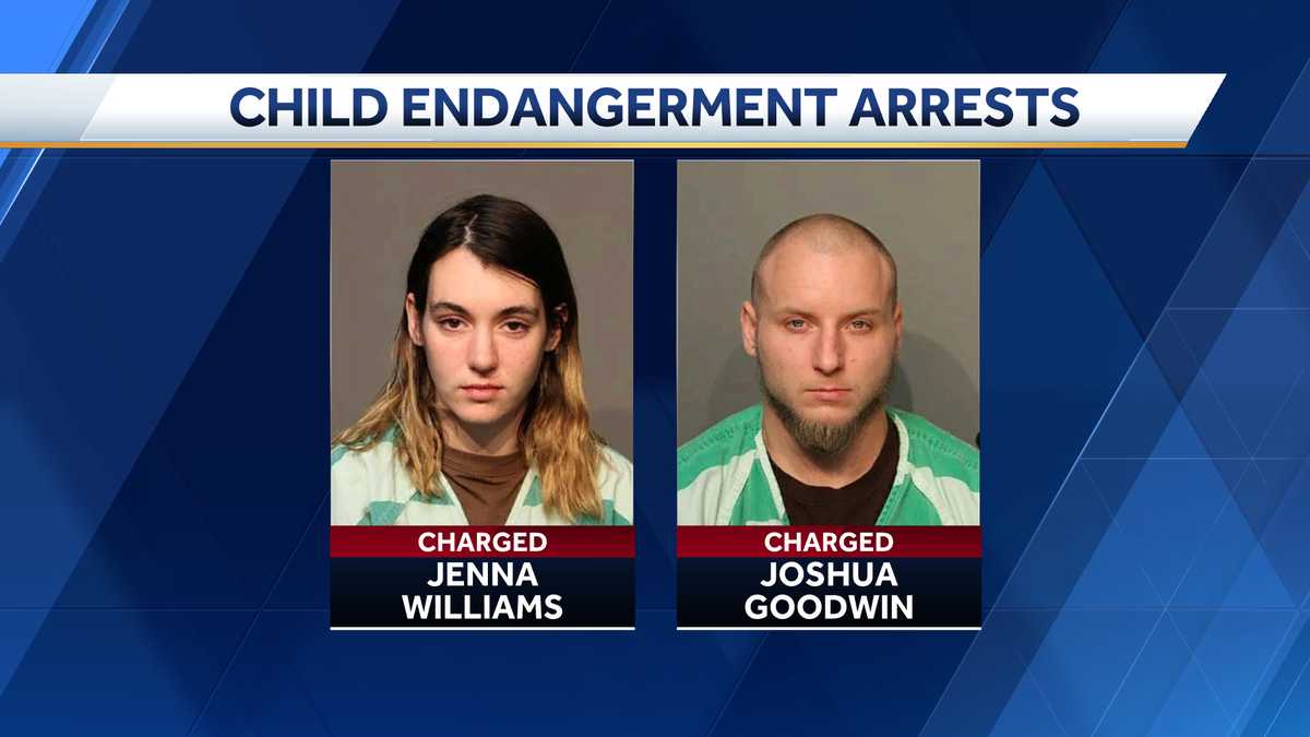 2 charged with child endangerment after child fires off handgun in Des ...