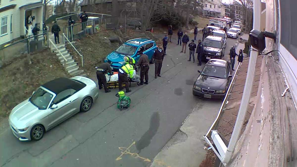 Family 'grateful' for off-duty Boston officer who stopped dog from ...