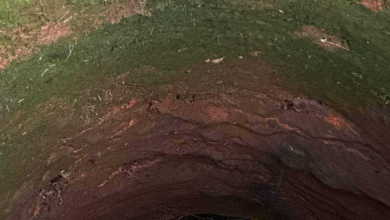 Child falls 20 feet into well in Greer, fire officials say