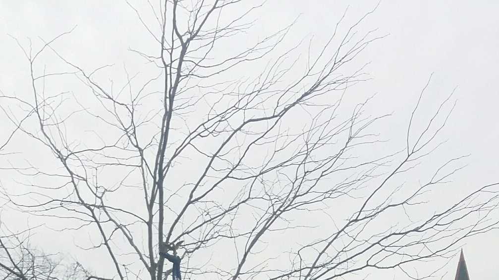 Happy March! Here are some fun facts about the month