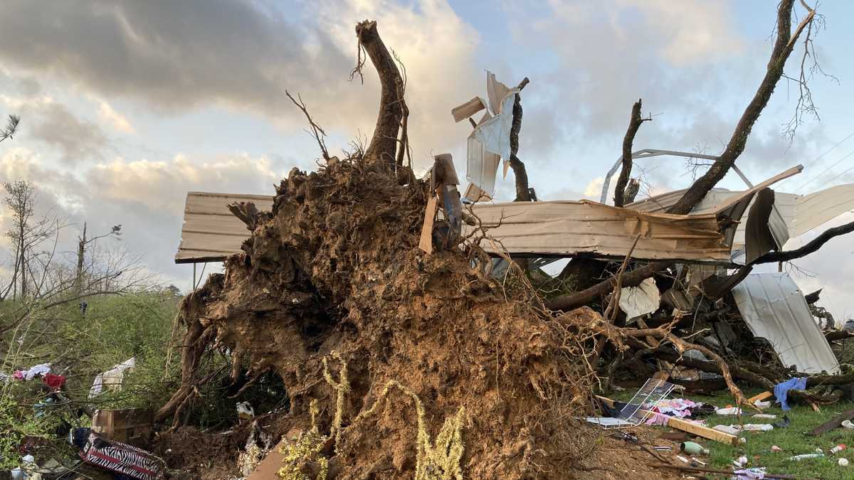 PHOTOS: Destruction across Alabama after tornado outbreak