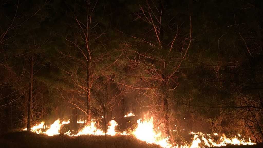 700-acre forest fire in Chilton County has been contained
