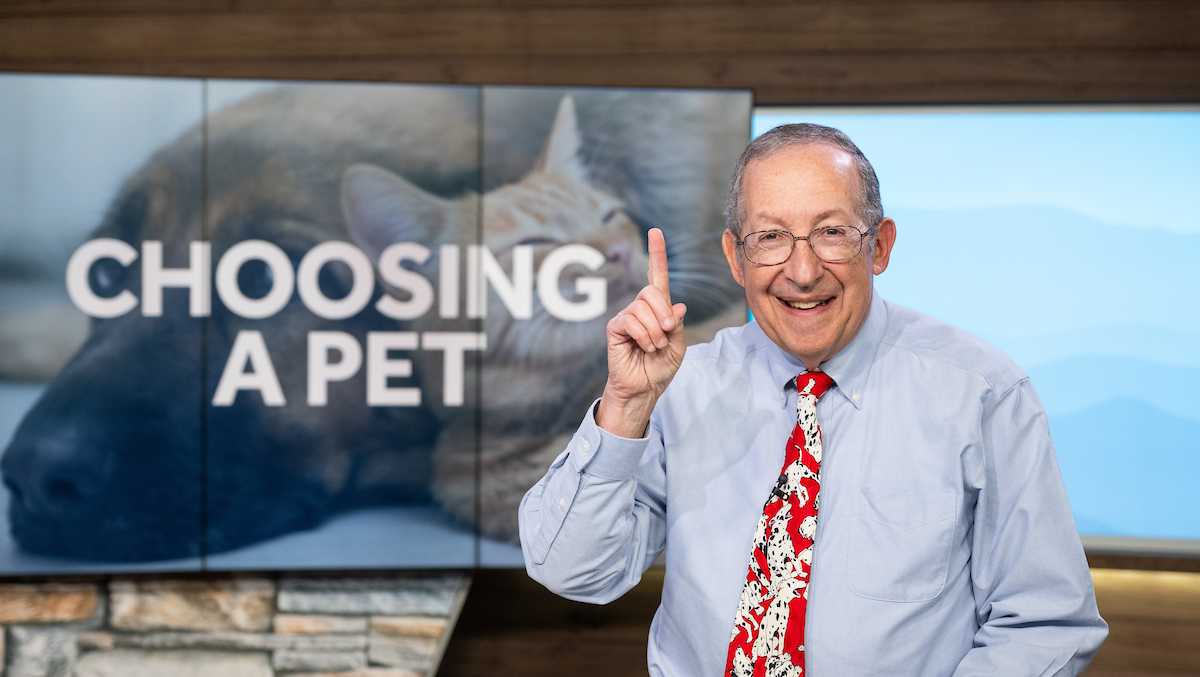 First with Kids: Choosing a Pet