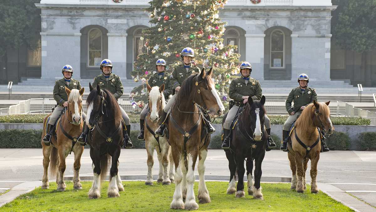 CHP mounted patrol 'honored' to march in Rose Parade