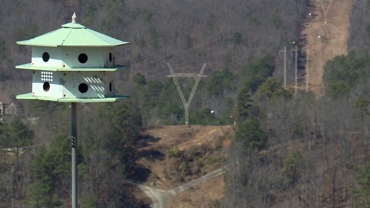 Pelham homeowner says his well problems mirror Vandiver issues