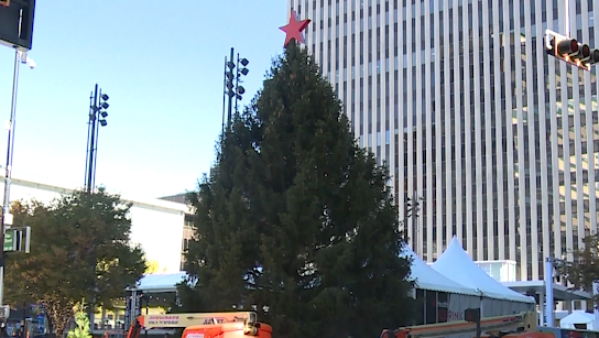 Cincinnati's 45-foot Christmas tree has arrived downtown