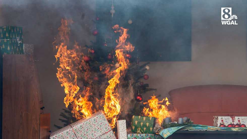 How to prevent Christmas tree fires