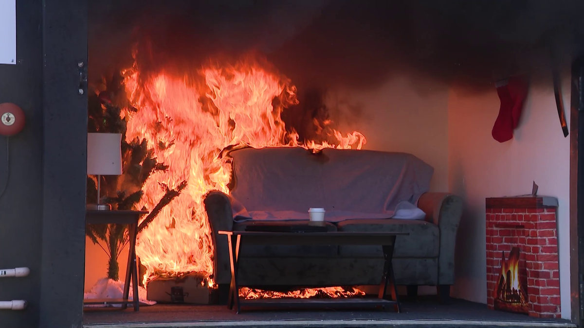 Fire officials burned Christmas trees to emphasize safety tips