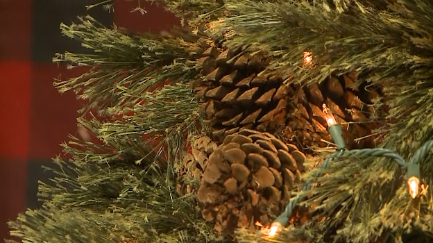 Durham Museum to harvest 2021 Christmas tree Monday