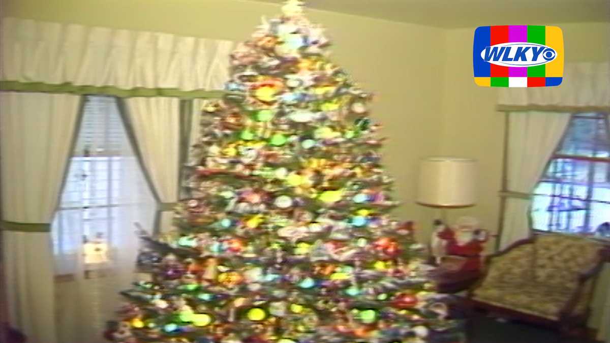 Holiday Rewind: This Christmas tree had a light for each day of the year