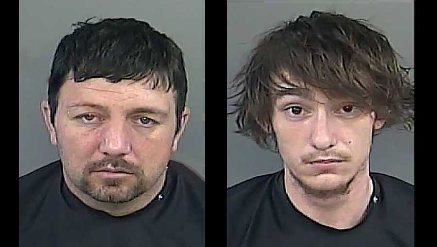 Armed men stole $1,500 pet parrot named Lewis, Upstate deputies say