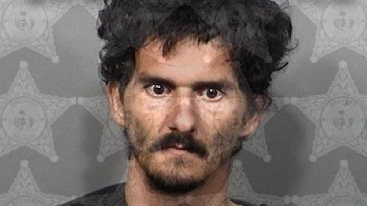 Brevard man tells police he stole dozens of pool floats to use for sex