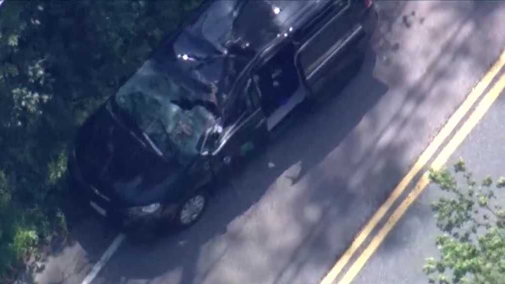 Occupant pulled from minivan crushed by falling tree in Holliston