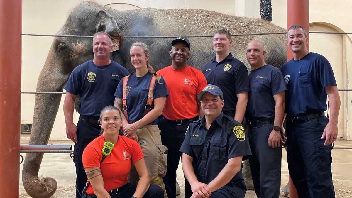 Cincinnati Fire & EMS members bathe elephants at Cincinnati Zoo