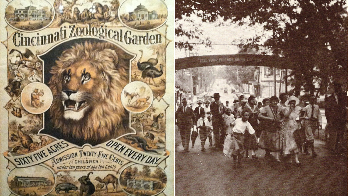 Cincinnati Zoo & Botanical Garden celebrating 150th anniversary in 2025