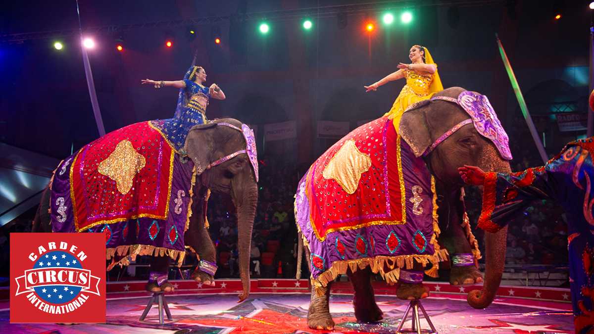 International circus makes stop in Council Bluffs for 3 nights