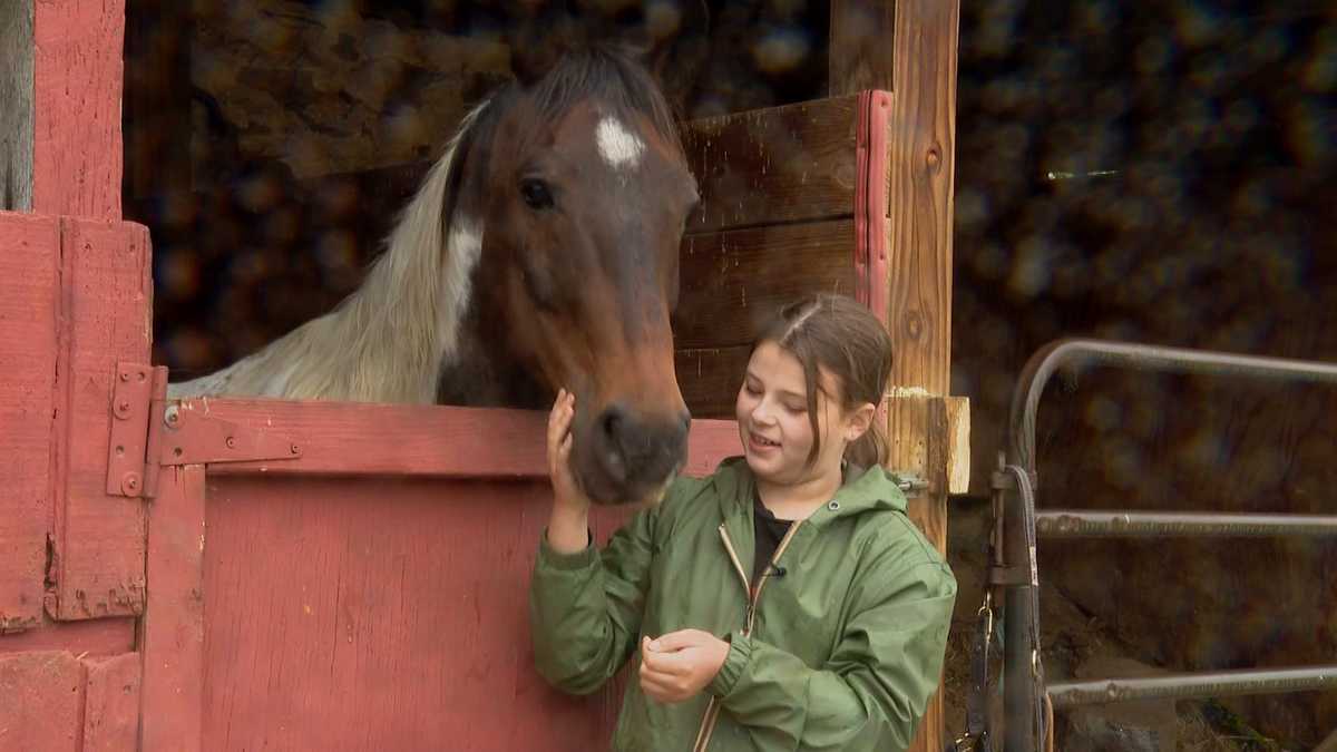 City Ranch exposes youths to everything horse-related