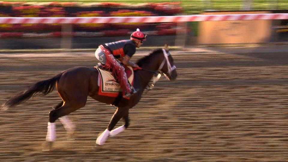 Photos: 142nd Preakness in Baltimore, Maryland