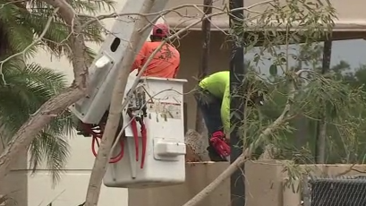 Cleanup begins in Florida after EF2 tornado touches down during severe weather