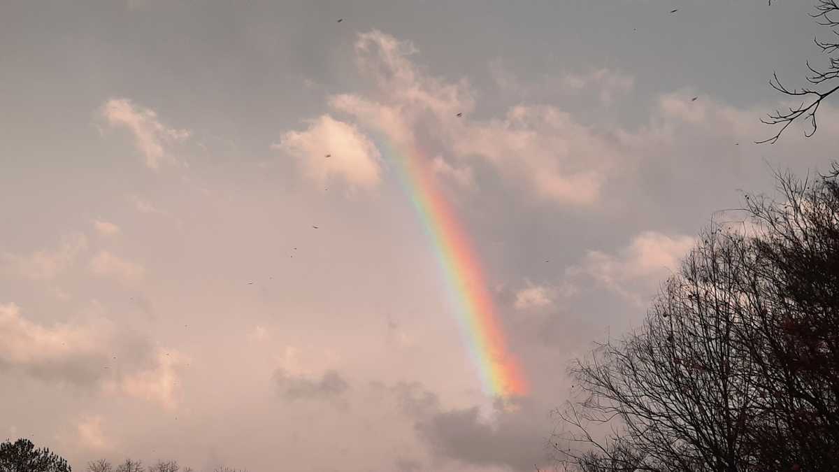 North Carolina: PHOTOS: Check out these photos of Rainbows throughout ...