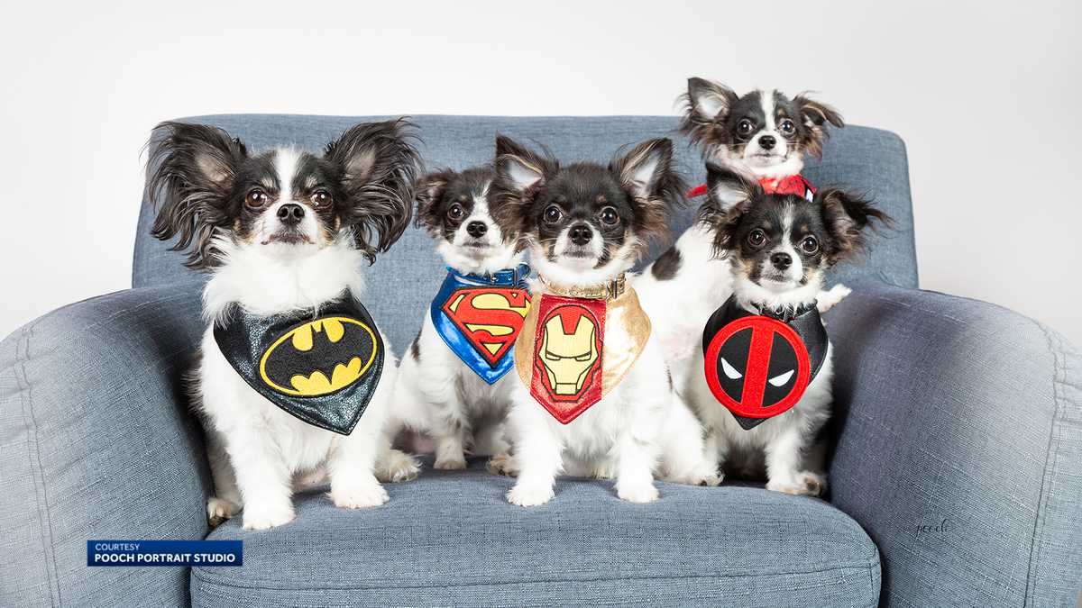 Photos: Meet Bruce Wayne and his cloned siblings