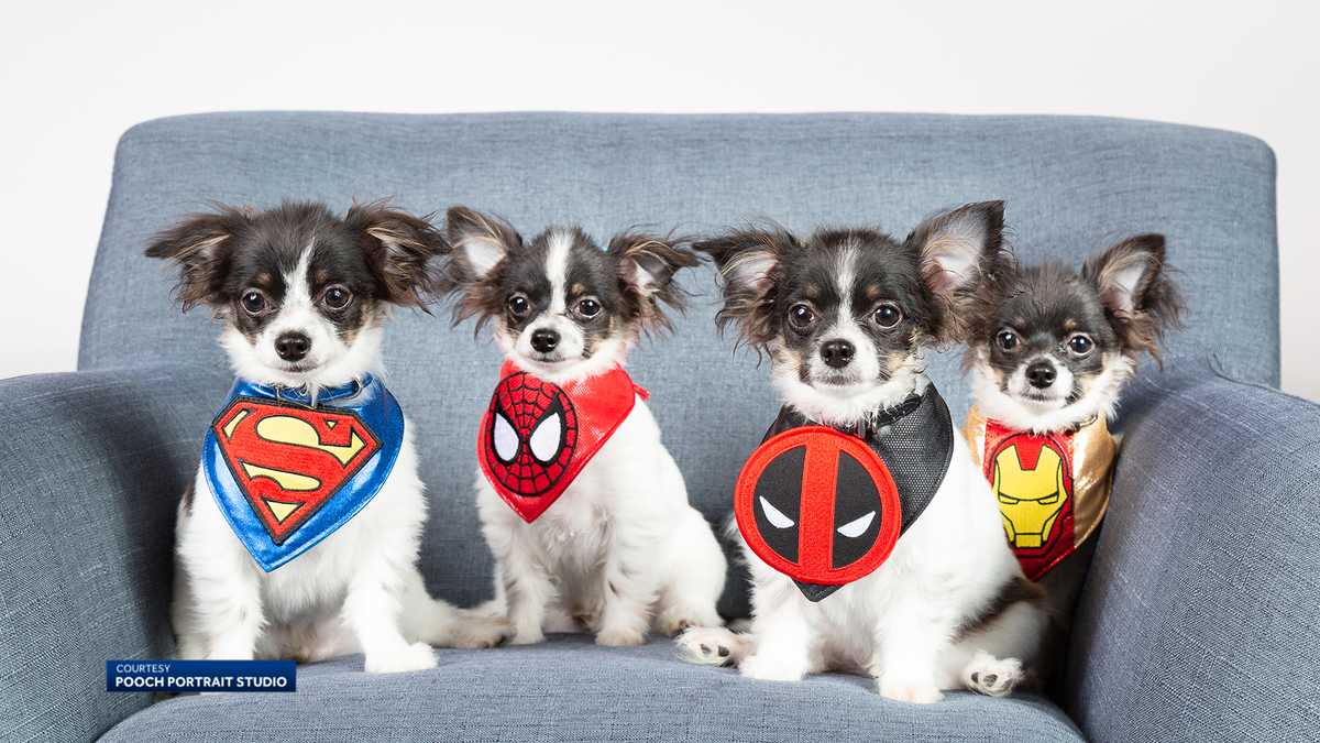 Photos: Meet Bruce Wayne and his cloned siblings