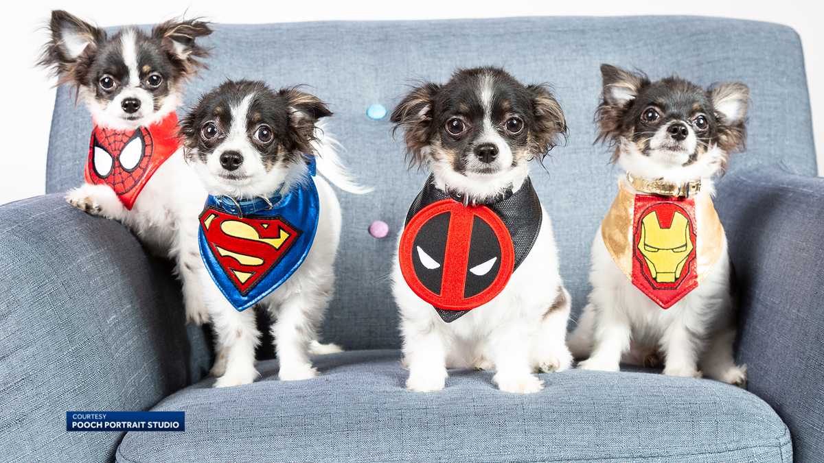 Photos: Meet Bruce Wayne and his cloned siblings