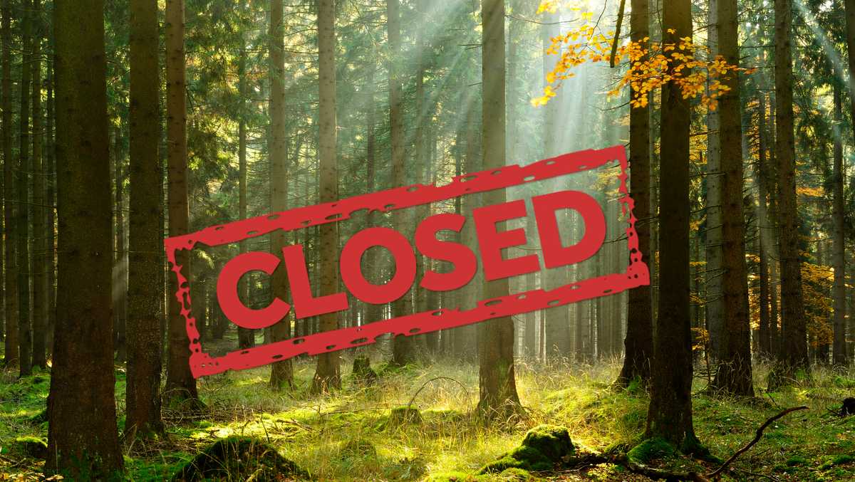 South Carolina: State forest closed after dog attack