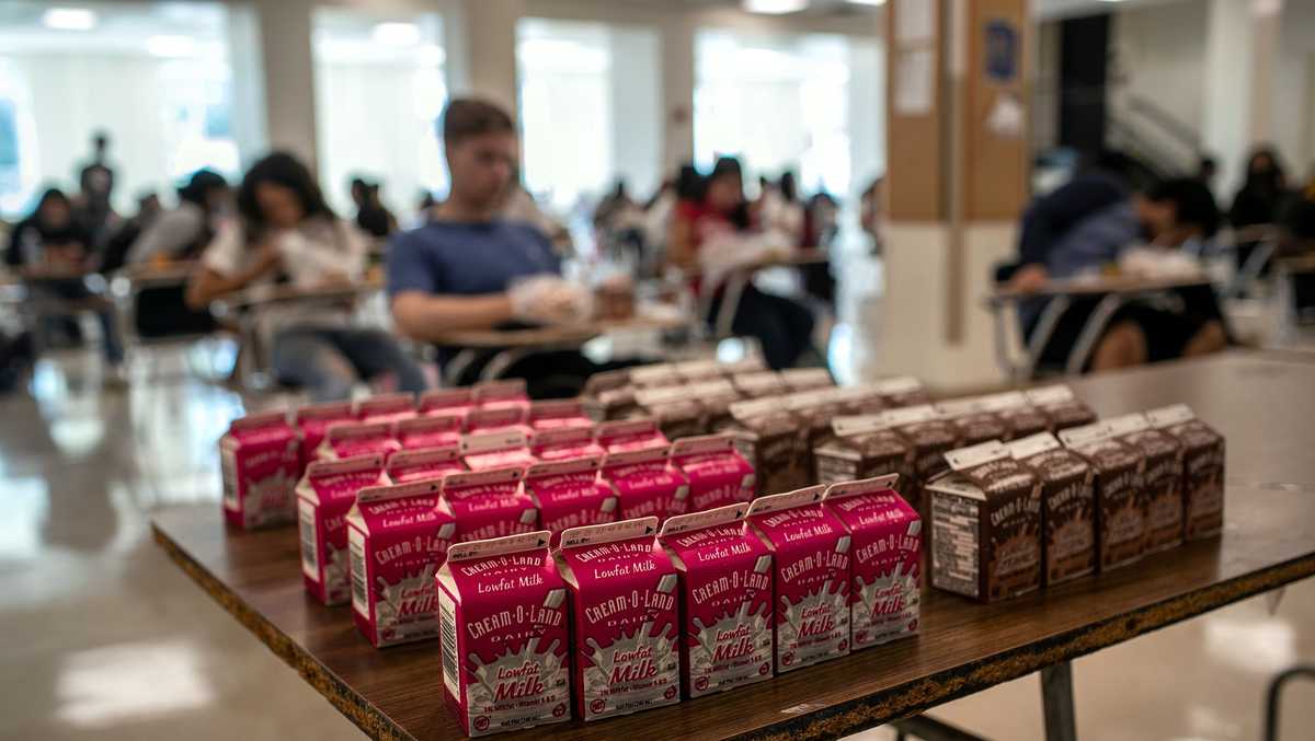 A milk carton shortage has schools scrambling. Here's what's going on