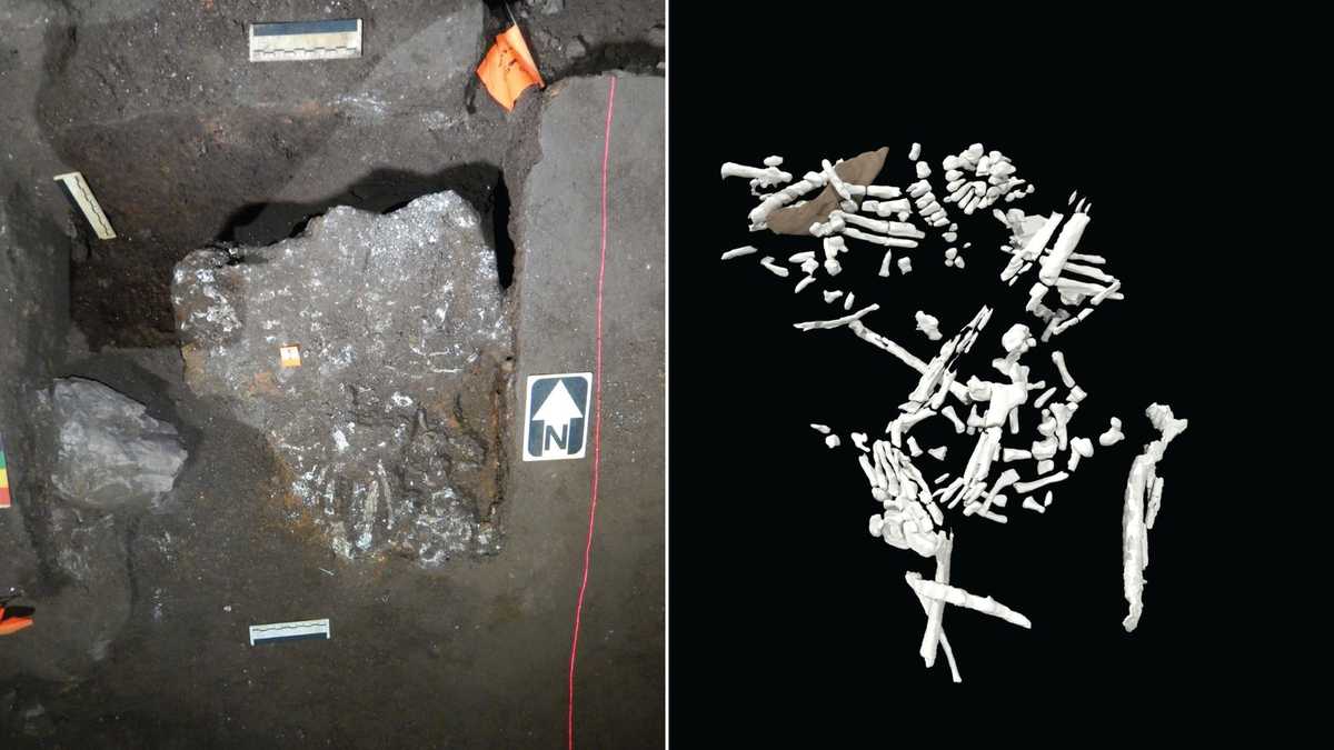 Mysterious species buried their dead and carved symbols 100,000 years ...