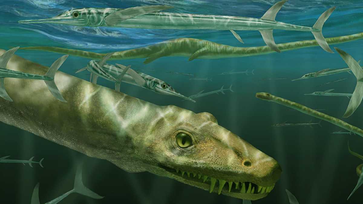 Scientists unveil 240-million-year-old 'dragon' fossil Scientists unveil 240-million-year-old 'dragon' fossil