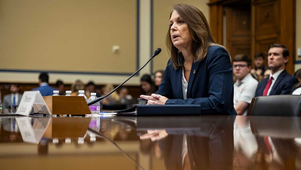Former Secret Service director assigned security detail amid threats