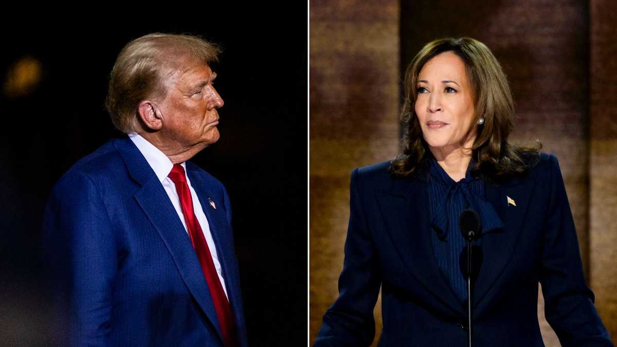 South Carolina 2024 Presidential Election Results - WJCL