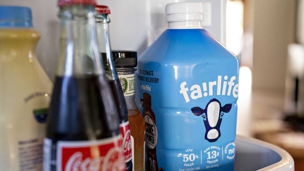 Coca-Cola leans on fancy milk to grow past soft drinks
