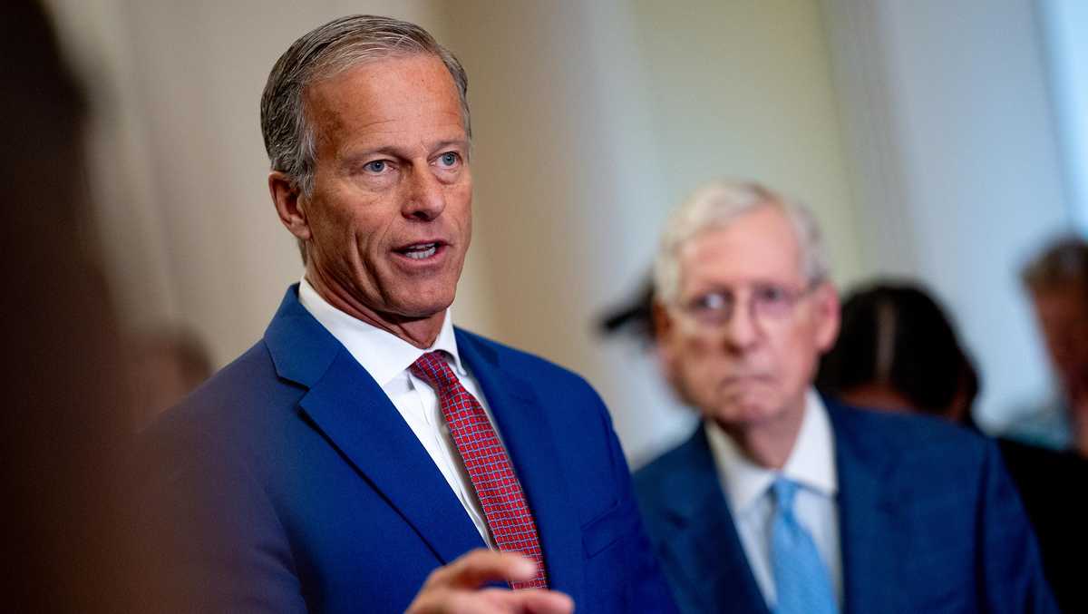 Who is John Thune, the next Senate majority leader?