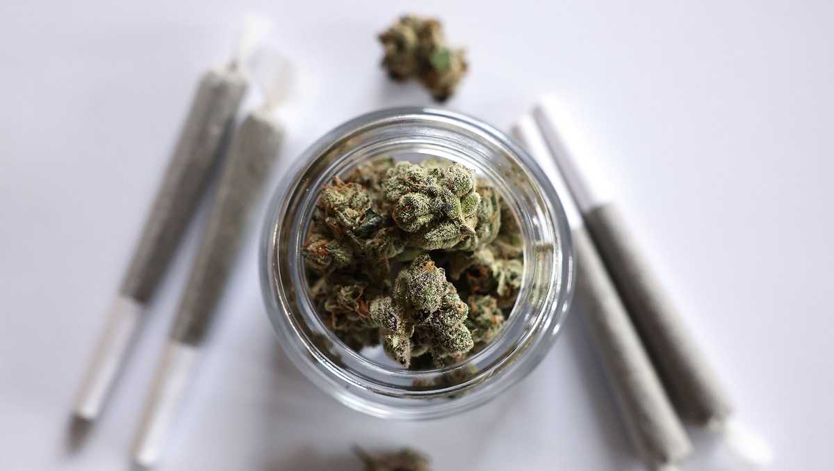 Scientists say marijuana doesn’t ease anxiety, other mental health ...