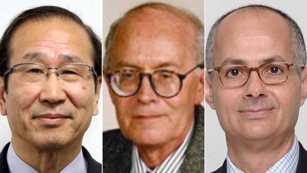 Nobel Prize in chemistry awarded for molecular architecture work